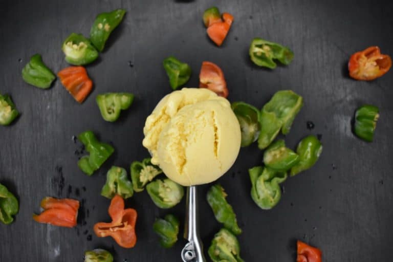 Where To Find The Best Ice Creams in Merida, Mexico