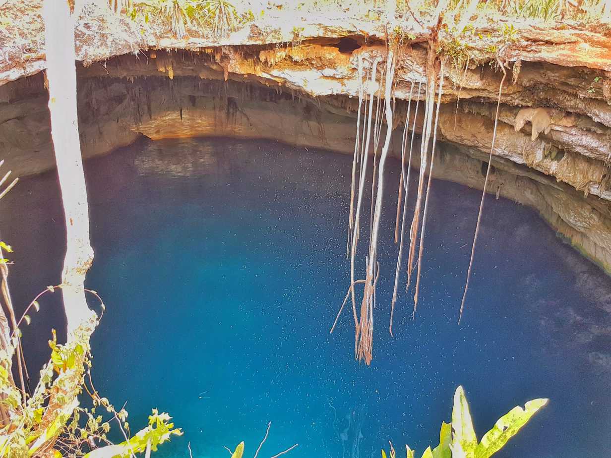 Your expert guide to the best cenotes to visit from Mérida