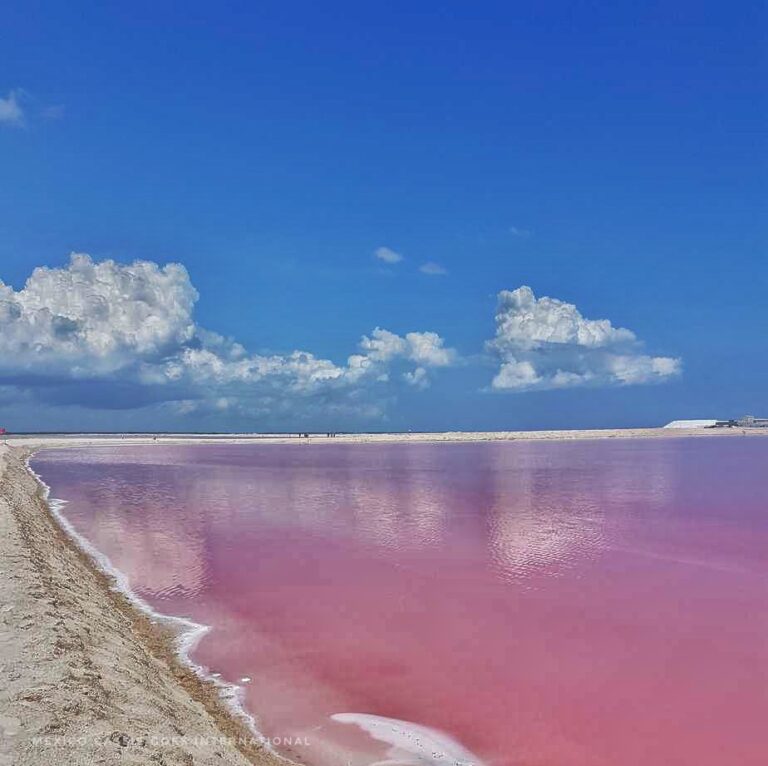 From Mérida to Las Coloradas - A day for hidden gems