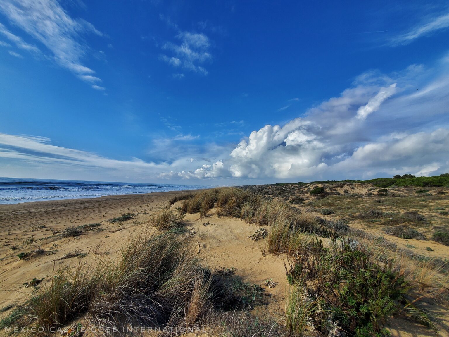 Your expert guide: how to get to the beach from Seville
